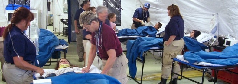 The Transforming Surge Capacity Project | CiC News