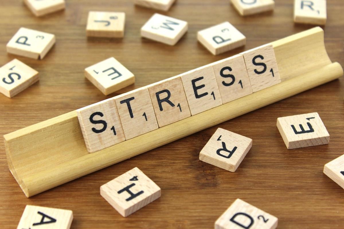 Reducing Stress in Your Organisation